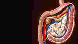 Transpyloric Plane: Anatomy and Clinical Importance